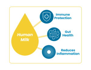 Human Milk and NEC - NEC Society